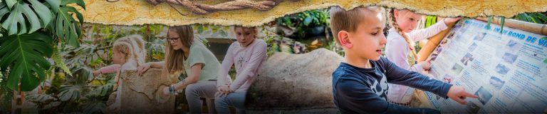 Avonturia - The largest pet store in the Netherlands