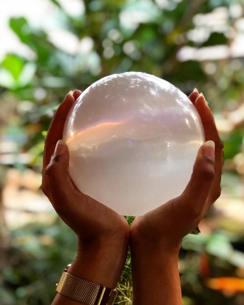 Everything about the Abalone Shell - Avonturia