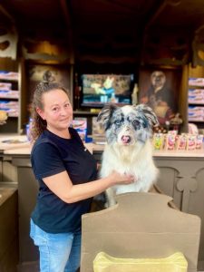 Medewerker hondenwereld - Den Haag - Avonturia